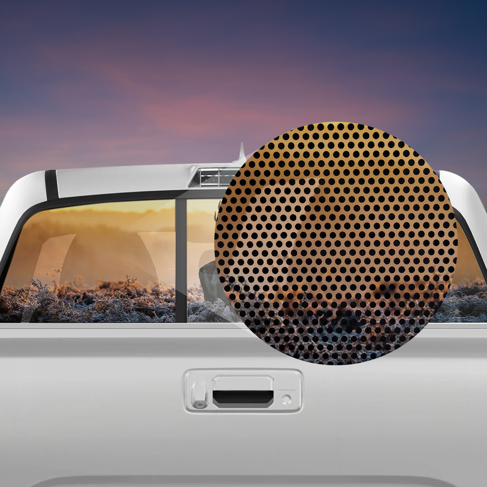 Perforated Vinyl 50/50